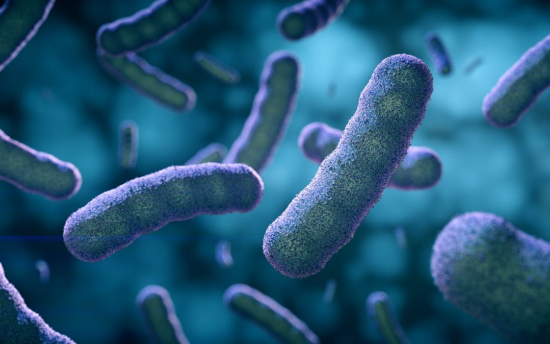 Psychobiotics and Mental Health – Alkanatur North America